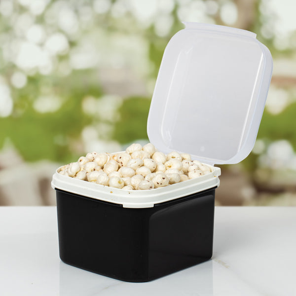 Large Rectangular Bulk Storage Container 2.5L – Tupperware India Pvt Ltd