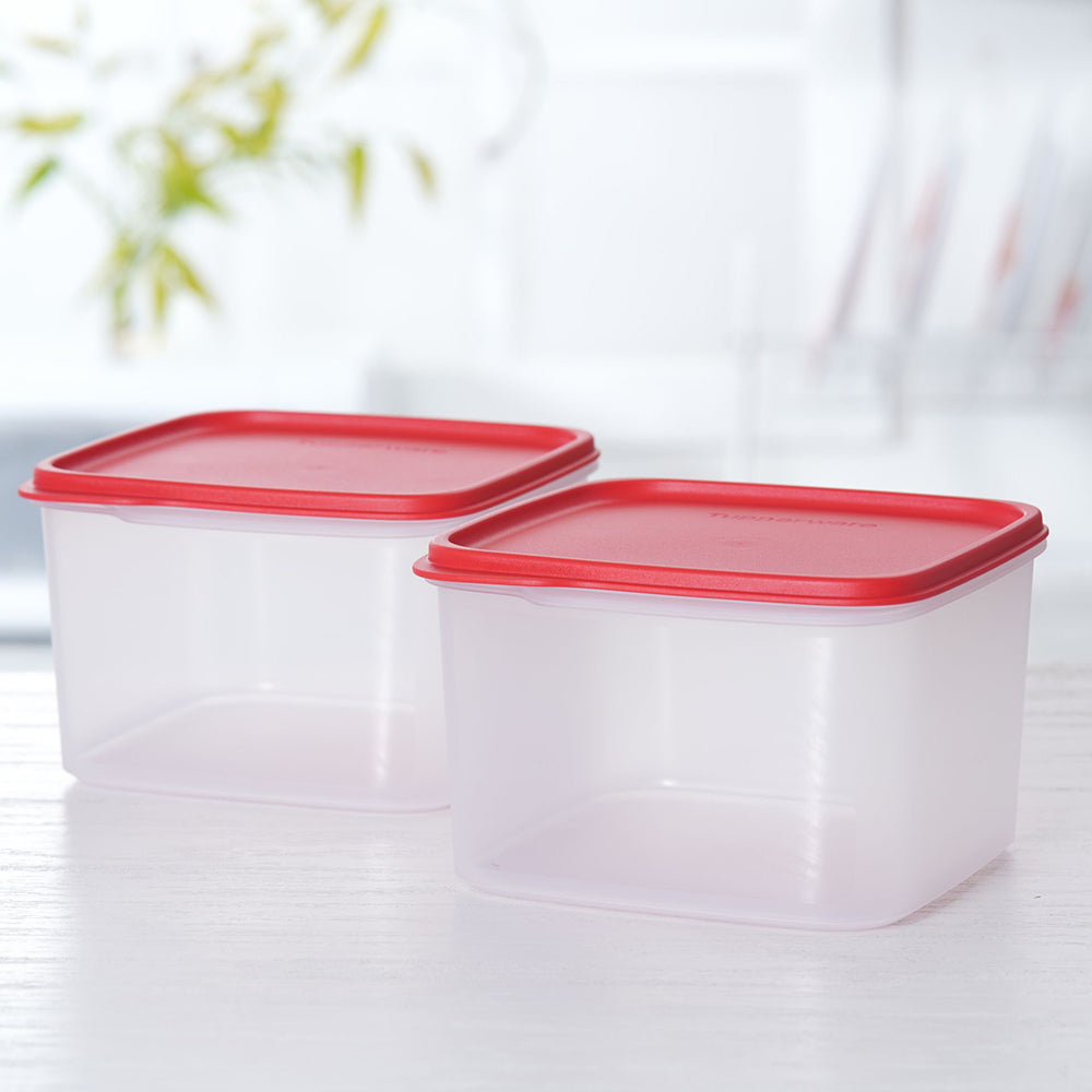 Smart Storer #2 ( 2.5L) (set of 2) – Tupperware India Pvt Ltd