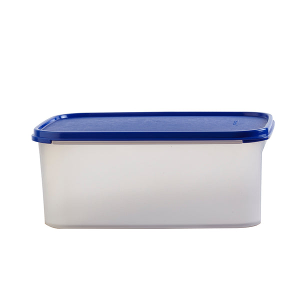 Tupperware MM Rectangular 2 (1 pc) – Tupperware India Pvt Ltd
