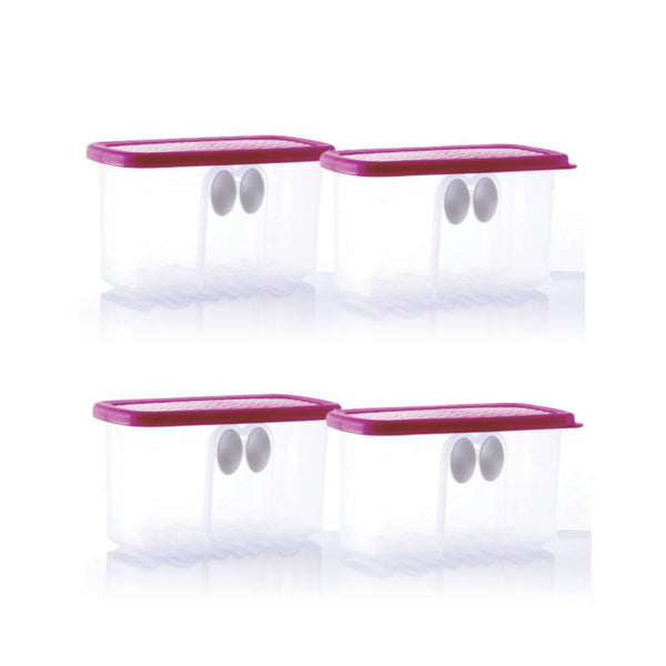 Freezer Storage Containers | Freezer Containers - Tupperware India Pvt Ltd