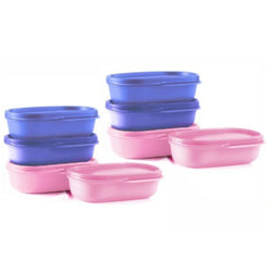 MY LUNCH Box Set of 2 - Leak-Proof & Compact – Tupperware India Pvt Ltd